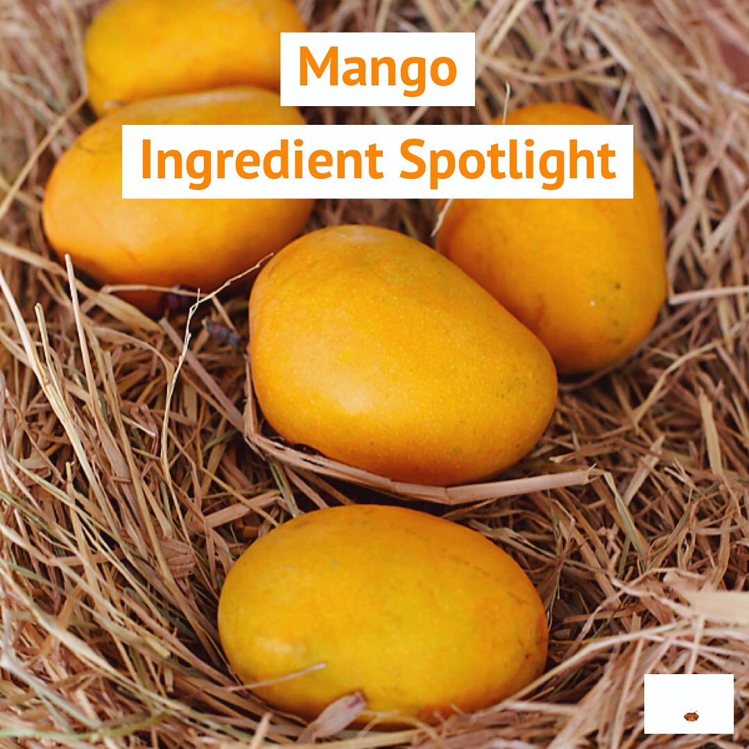 Ingredient Spotlight: Mango – DivineTaste